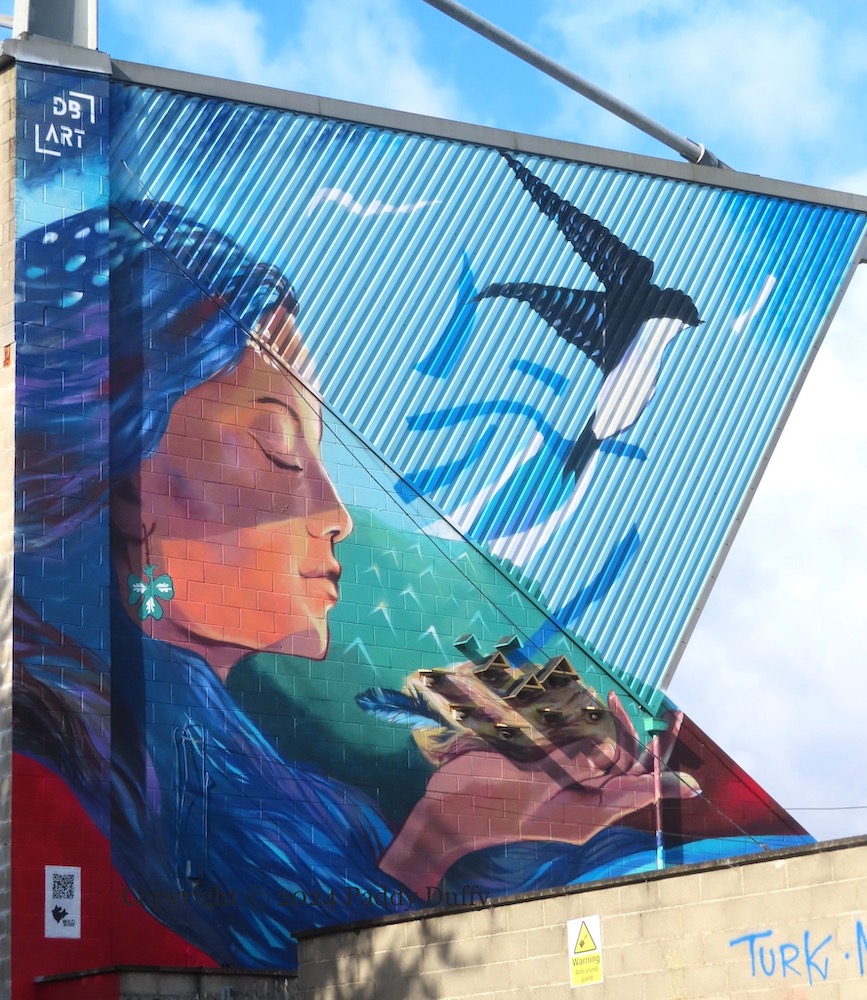 A Bird In The Hand – Paddy Duffy Collection